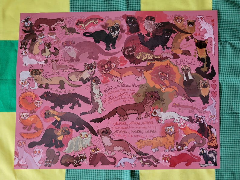 A Love Letter to Weasels Print - Etsy