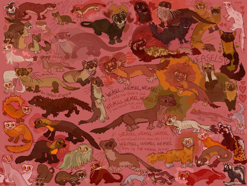 A Love Letter to Weasels Print - Etsy