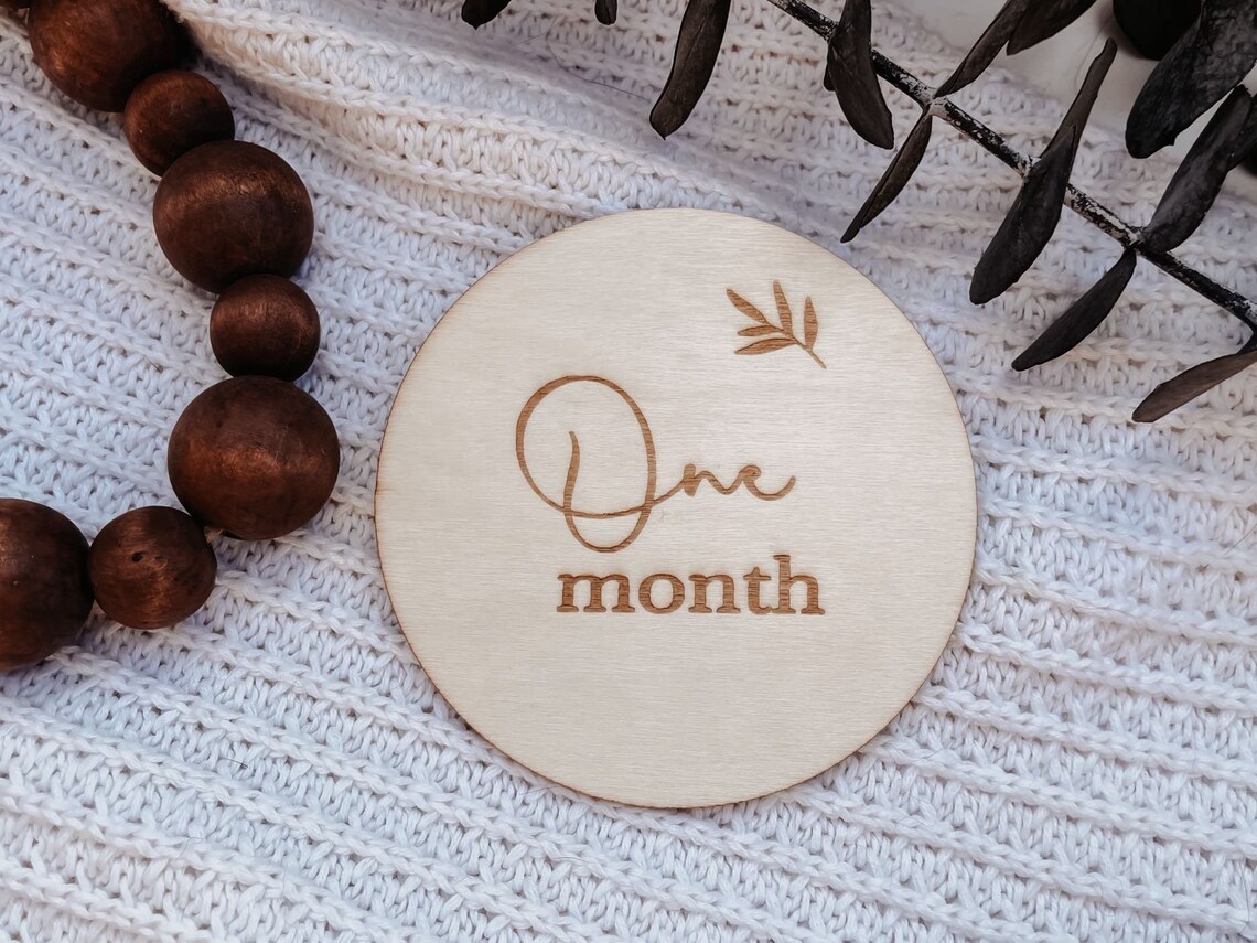 Month Signs for Baby | Wood Signs for Baby | Monthly Markers | Baby ...