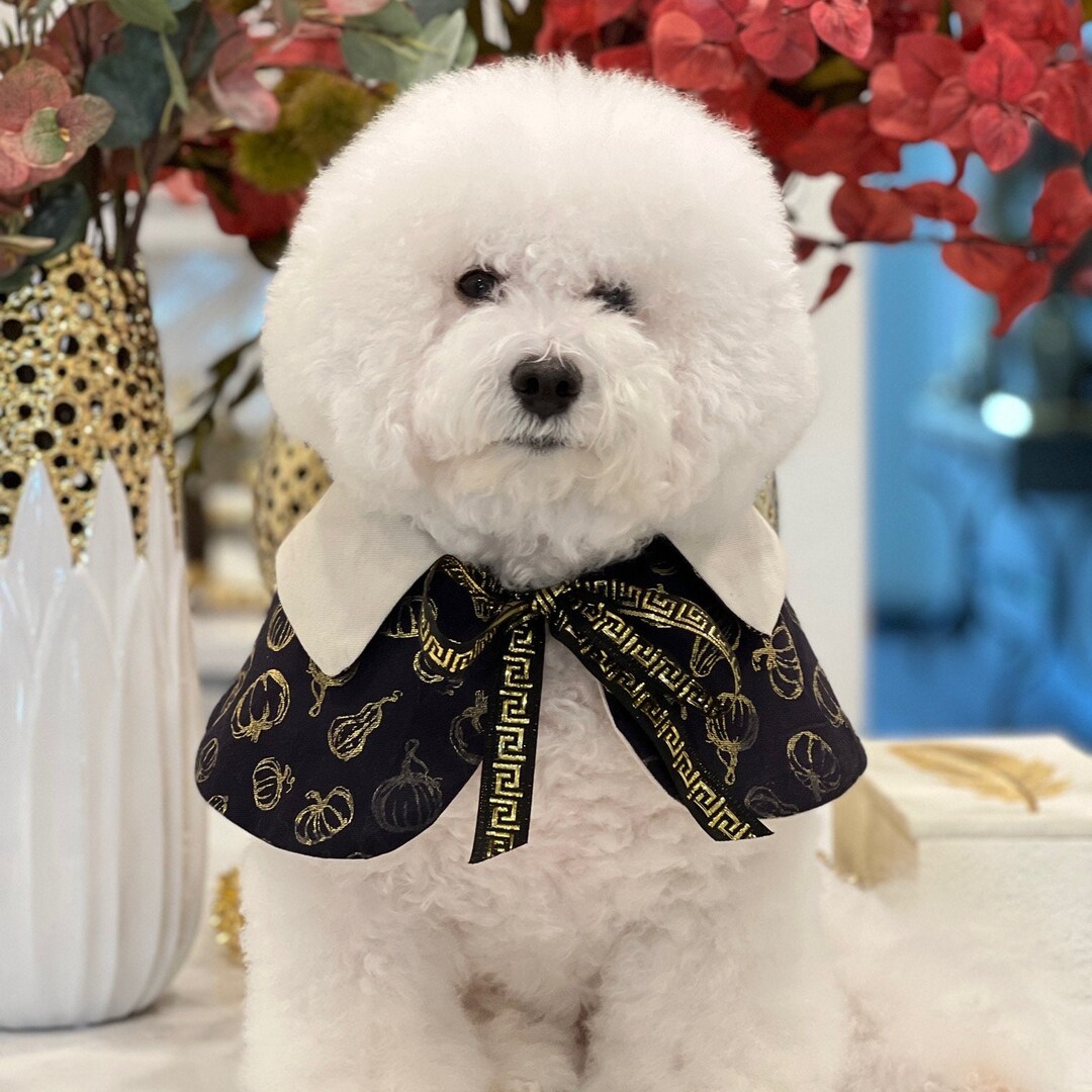 Bichon Dogs and All Dog Capes Dog Cloaks Dog Capes Pet - Etsy