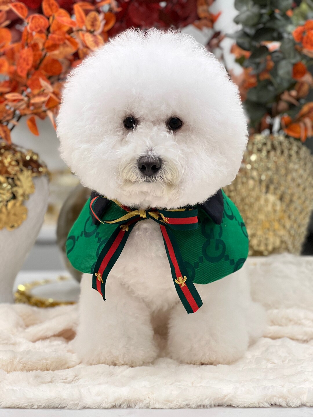 Fall Dog Fashion, Bichon Dogs Capes, All Dog Capes, Holiday Capes, Dog ...