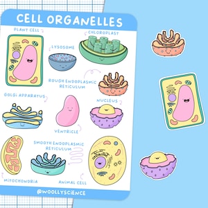 Biology Sticker Sheet, Science Teacher Planner Stickers, Organelles ...