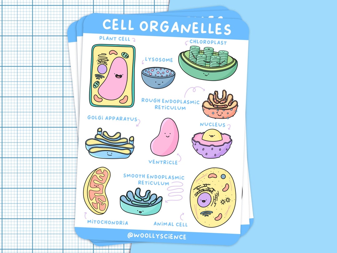 Biology Sticker Sheet, Science Teacher Planner Stickers, Organelles ...