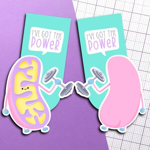 Mitochondria Magnetic Bookmark Biology Book Mark Cell - Etsy