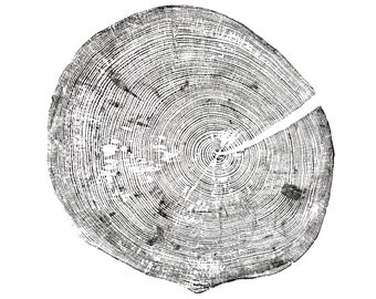 White Pine Handmade Tree Ring Print Wood Block Print in - Etsy