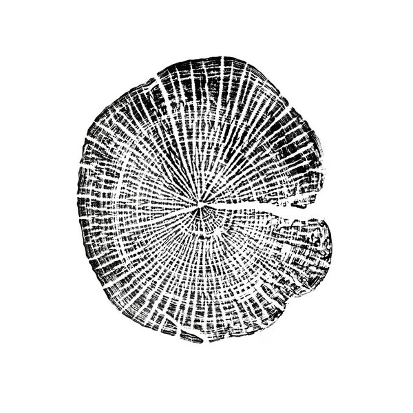Tree Ring Print - Etsy