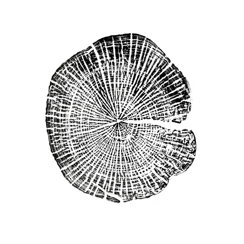 Tree Ring Print - Etsy