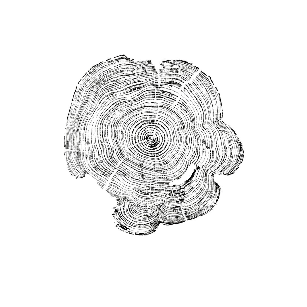 Cedar, Handmade, Tree Ring Print, Wood Block Print, in High Quality ...