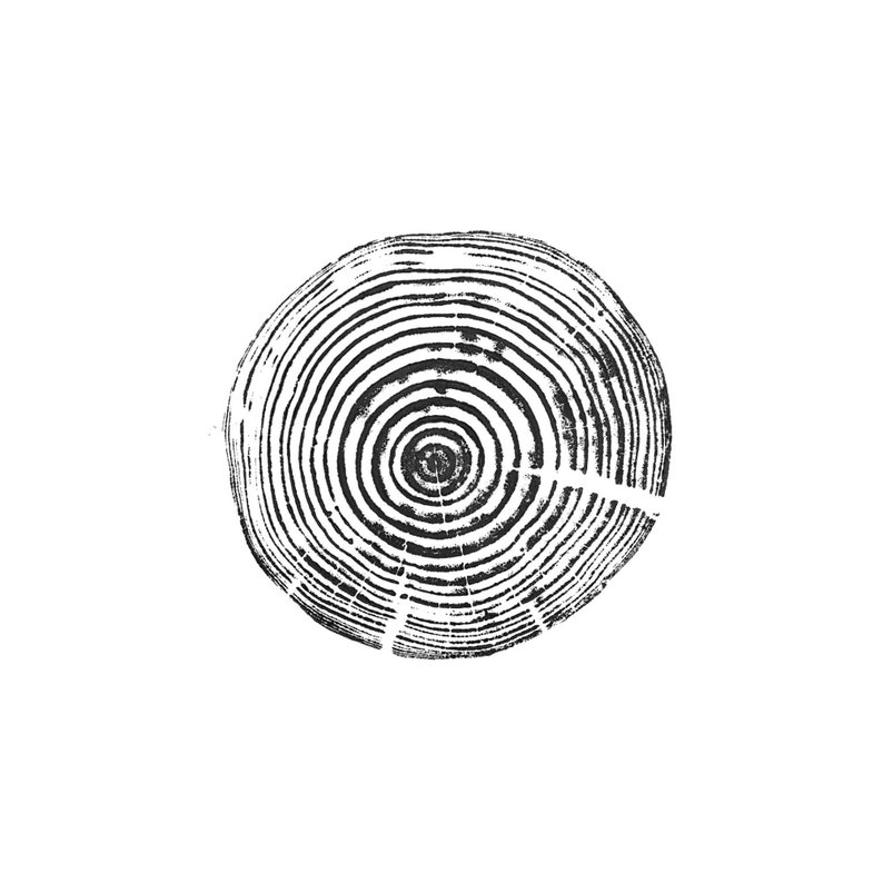 White Pine, Handmade, Tree Ring Print, Wood Block Print, in High ...