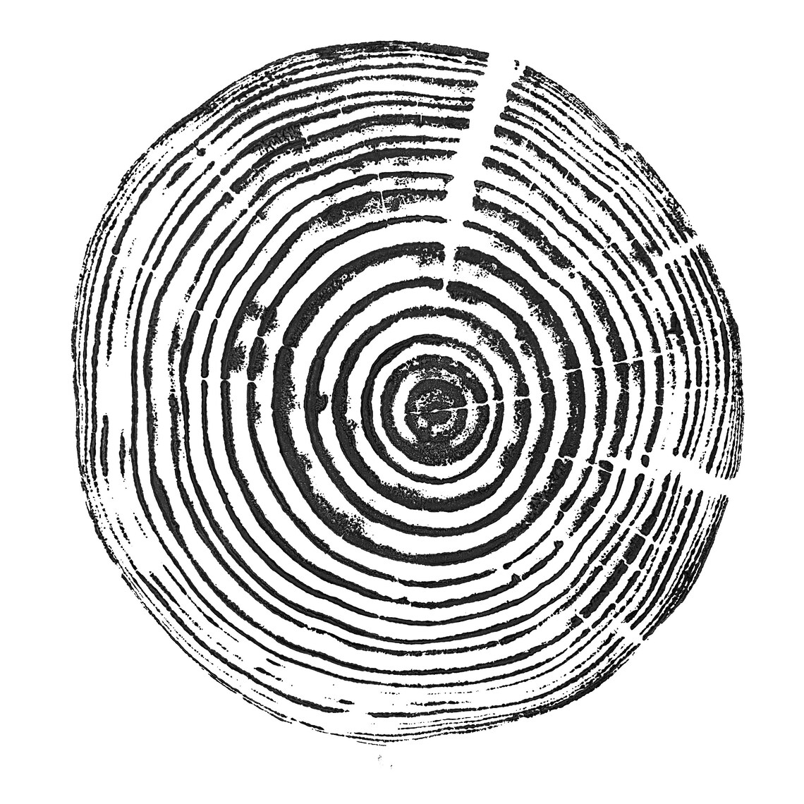 White Pine, Handmade, Tree Ring Print, Wood Block Print, in High ...