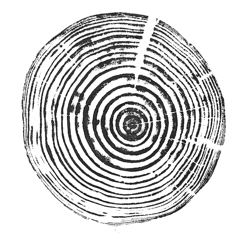 White Pine, Handmade, Tree Ring Print, Wood Block Print, in High ...
