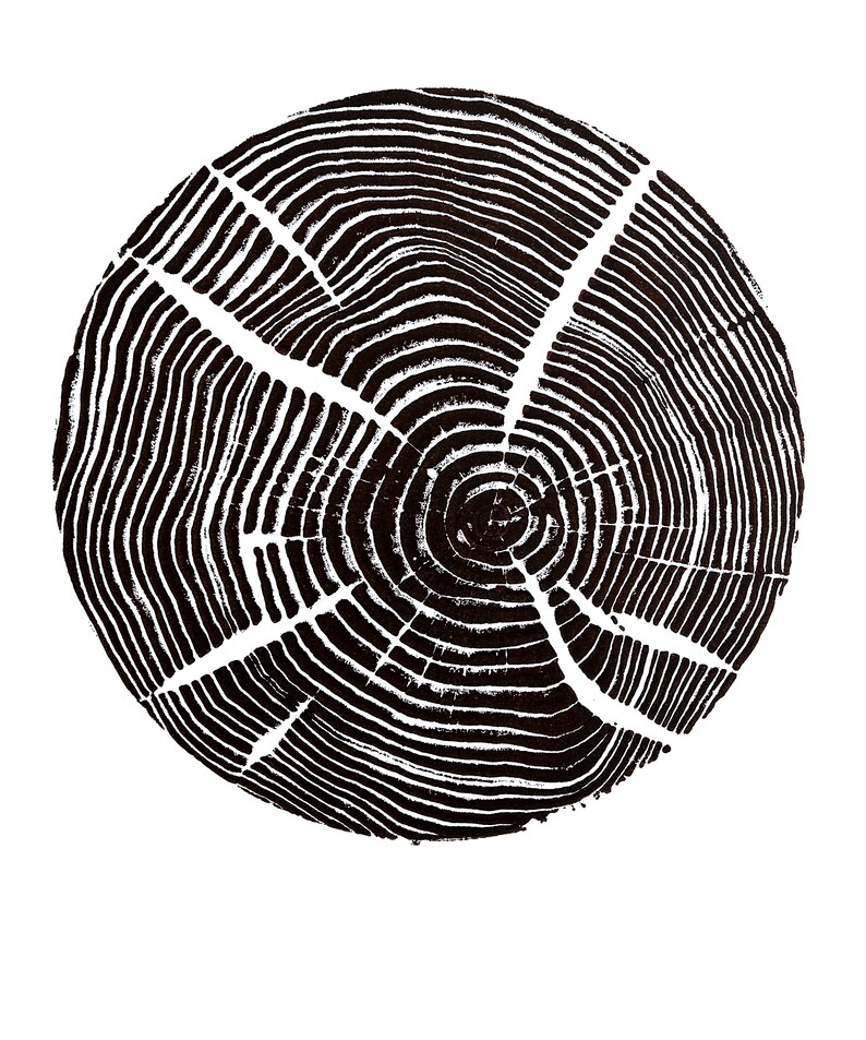 Ash, Handmade, Tree Ring Print, Wood Block Print, in High Quality ...