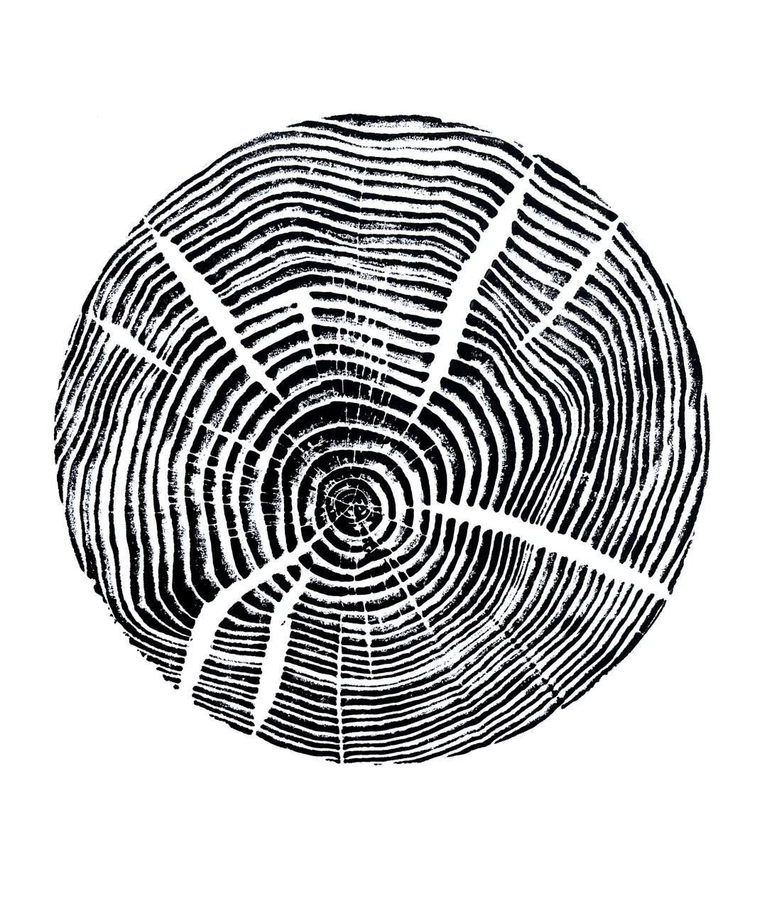 Ash, Handmade, Tree Ring Print, Wood Block Print, in High Quality ...