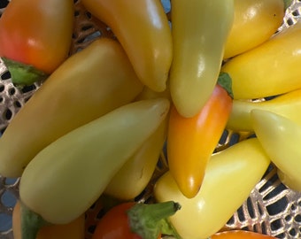 Santa Fe Grande Guero Pepper Premium Seed Packet - Etsy