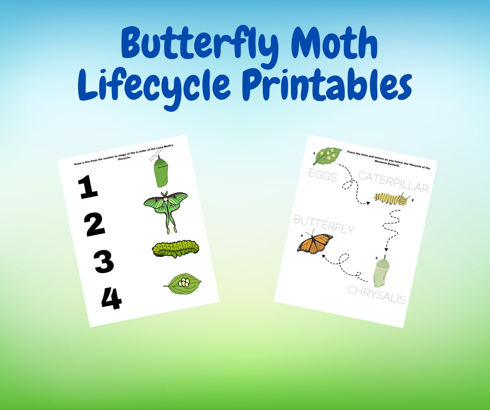 Moth Butterfly Lifecycle Sequence Printable Prek Preschool Kindergarten ...