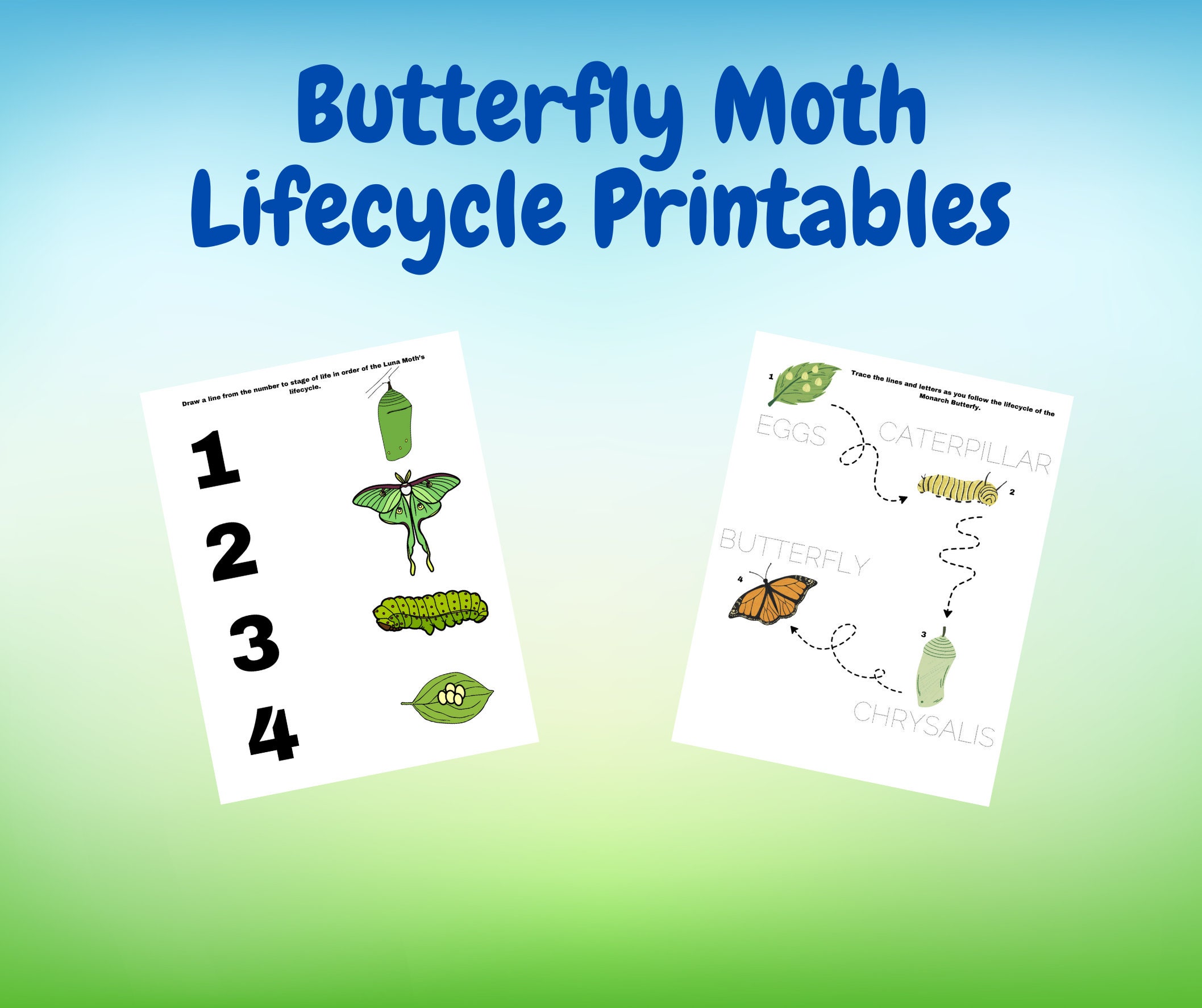 Moth Butterfly Lifecycle Sequence Printable Prek Preschool Kindergarten ...