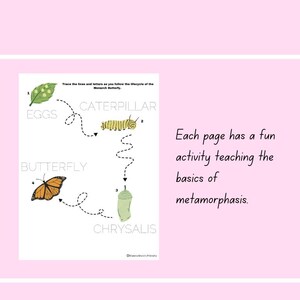 Early Learning Science Printables | Prek Kindergarten Elementary ...