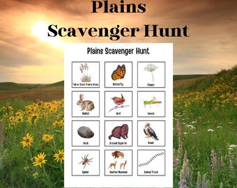 Desert Scavenger Hunt for Kids | Nature Play Activity | Outdoor Game ...