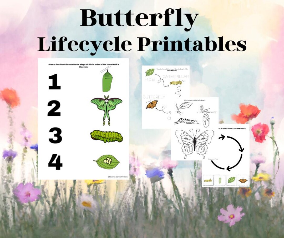 Early Learning Science Printables | Prek Kindergarten Elementary ...