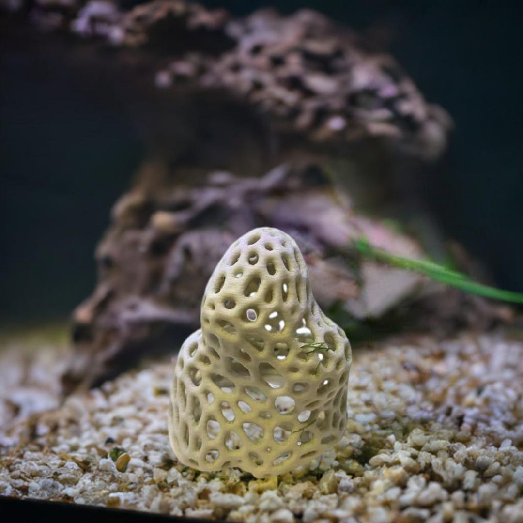 Aquarium Hideaway Cave | Fish Tank Shelter | Shrimp Hiding Spot | Nano ...