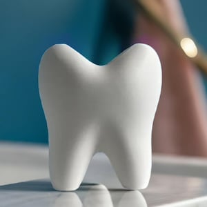 Tooth Shaped Toothbrush Holder | Dental Theme Bathroom Decor | Multiple ...