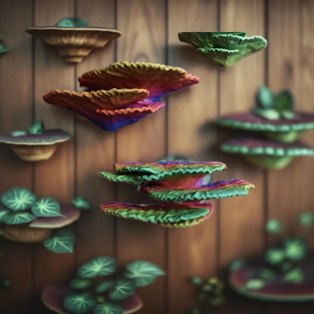 Large Coral Wall Shelf | Jumbo Reef Display | Statement Wall Art ...