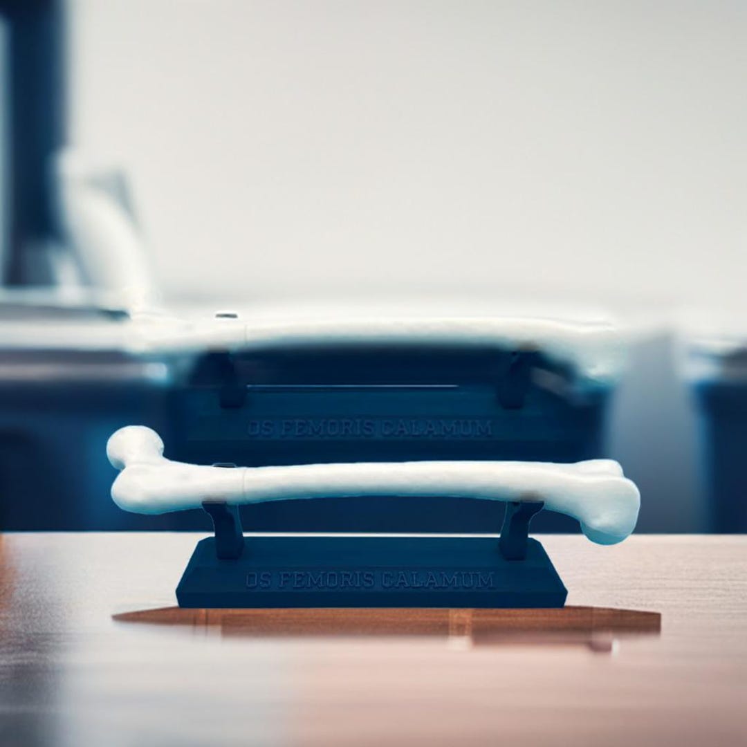 Femur Bone Pen | Anatomical Thigh Bone Ballpoint | Medical Student Gift ...