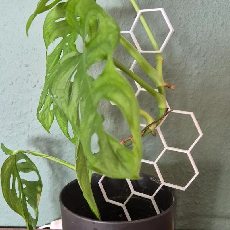 Hexagon Trellis - Etsy