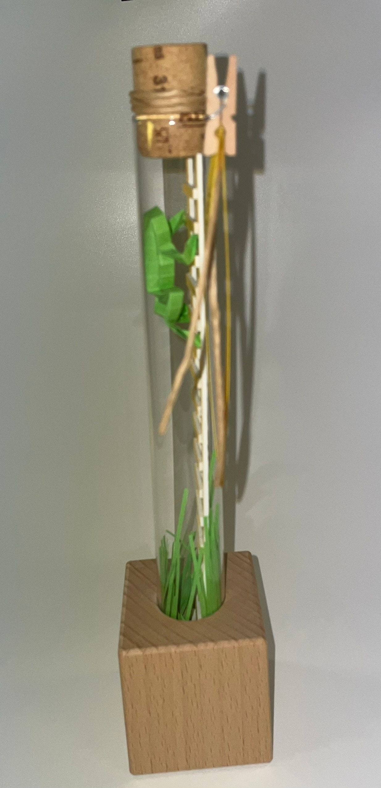 Weather Frog Origami Frog Ladder Test Tube Decoration Paper Gift - Etsy