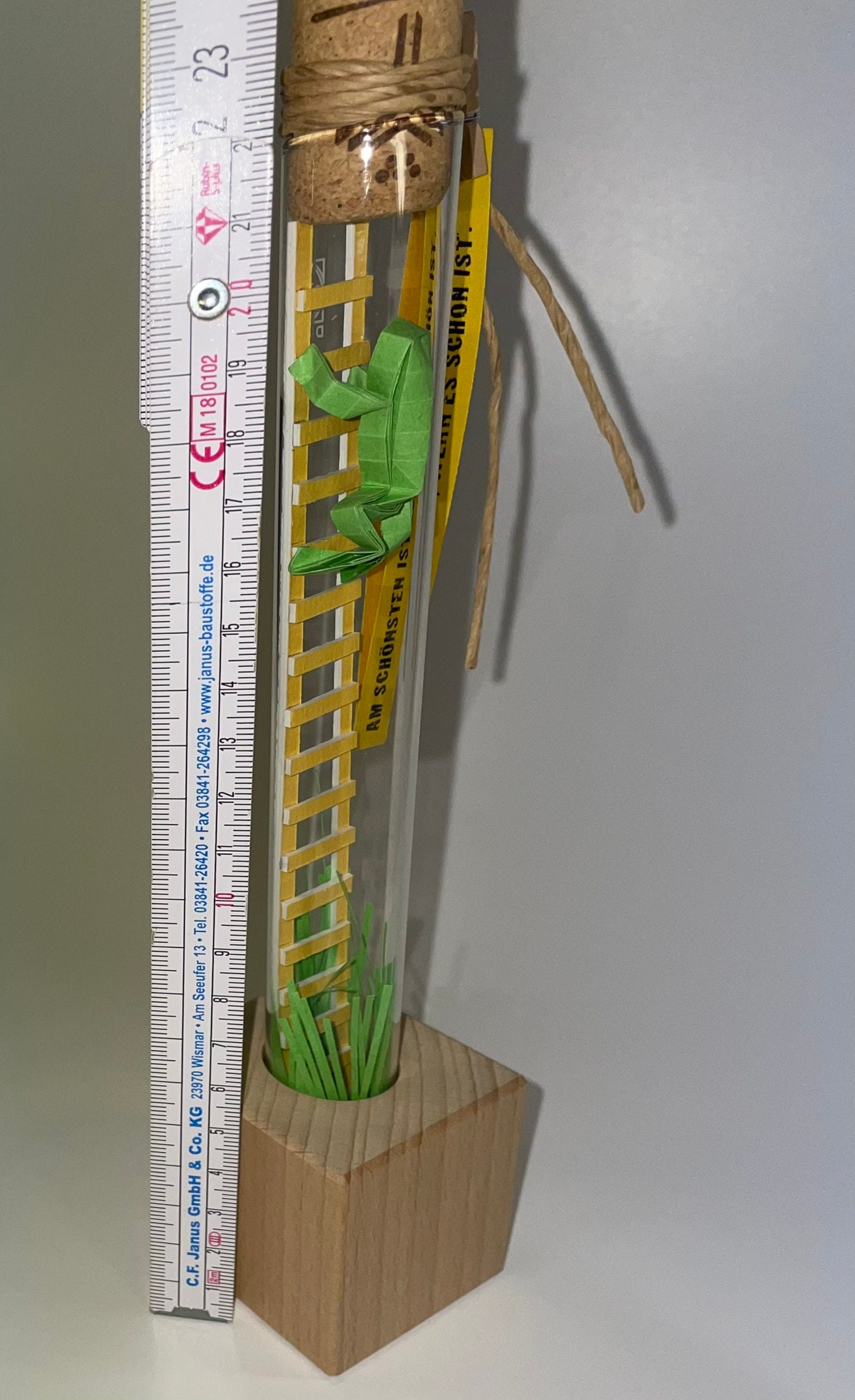 Weather Frog Origami Frog Ladder Test Tube Decoration Paper Gift - Etsy