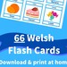 Printable IRISH Flashcards PDF 66 First Words for Beginners, Toddlers ...