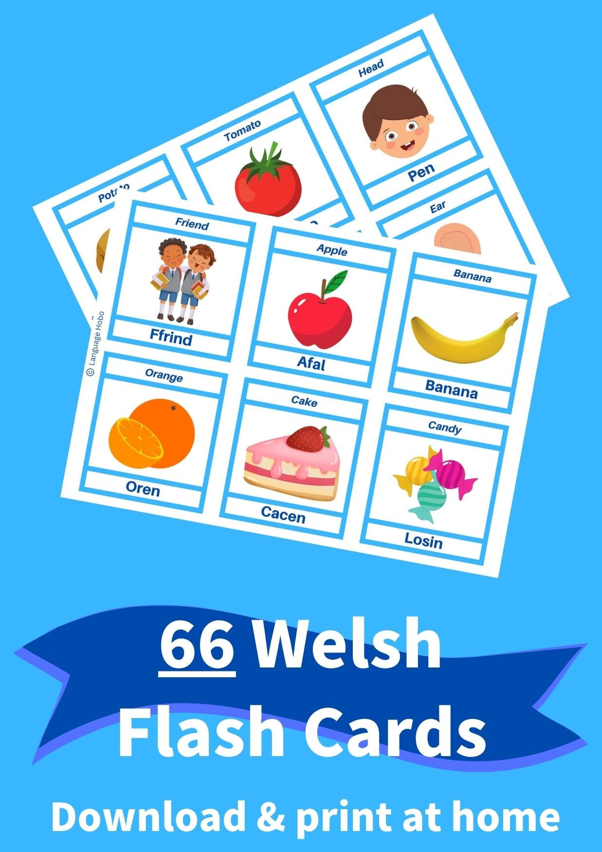 Printable WELSH Flashcards PDF 66 First Words for Beginners, Toddlers, and Adults Learn Welsh ...