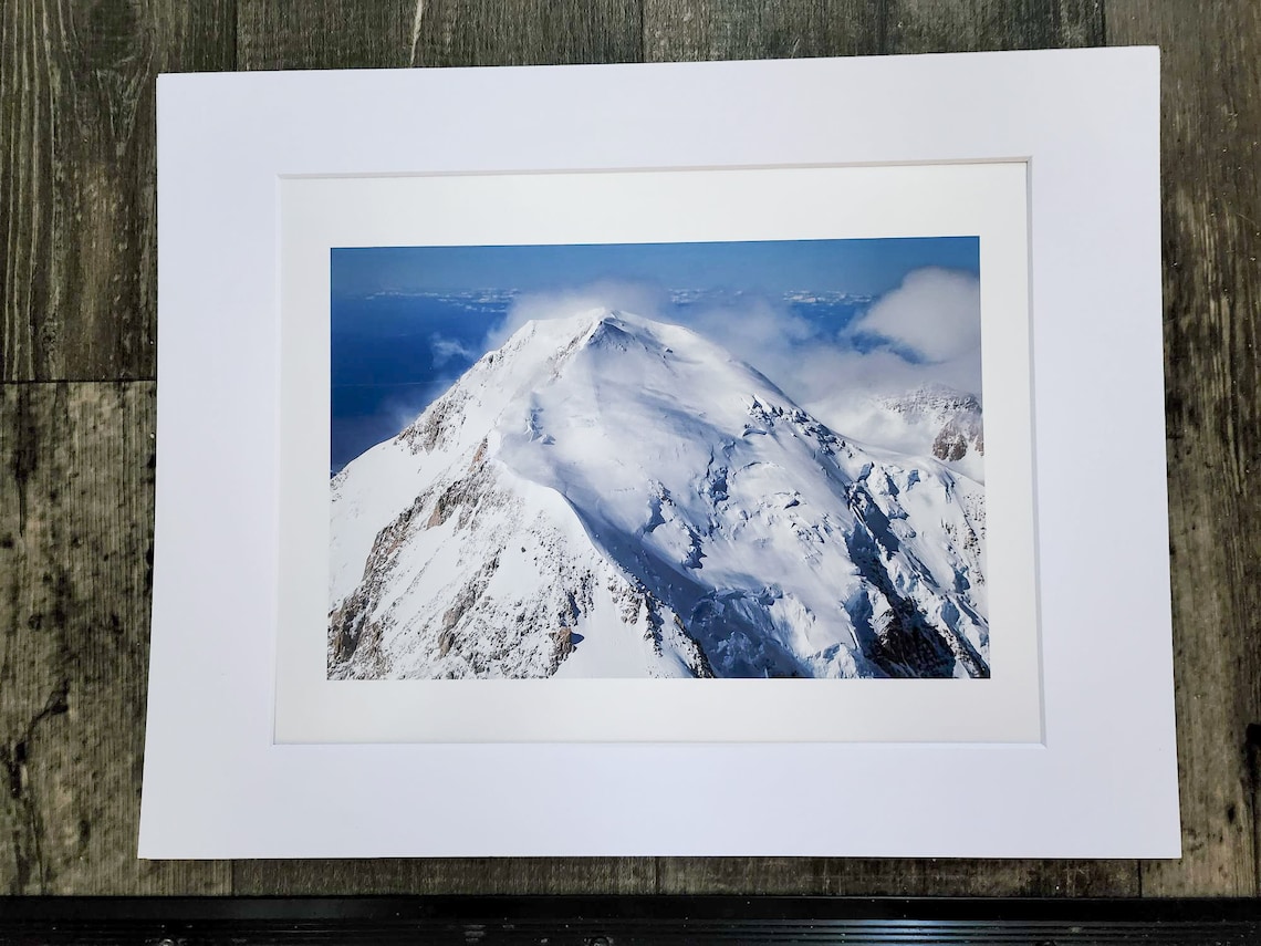 White-tailed Kite: Matted Print on Metallic Paper - Etsy
