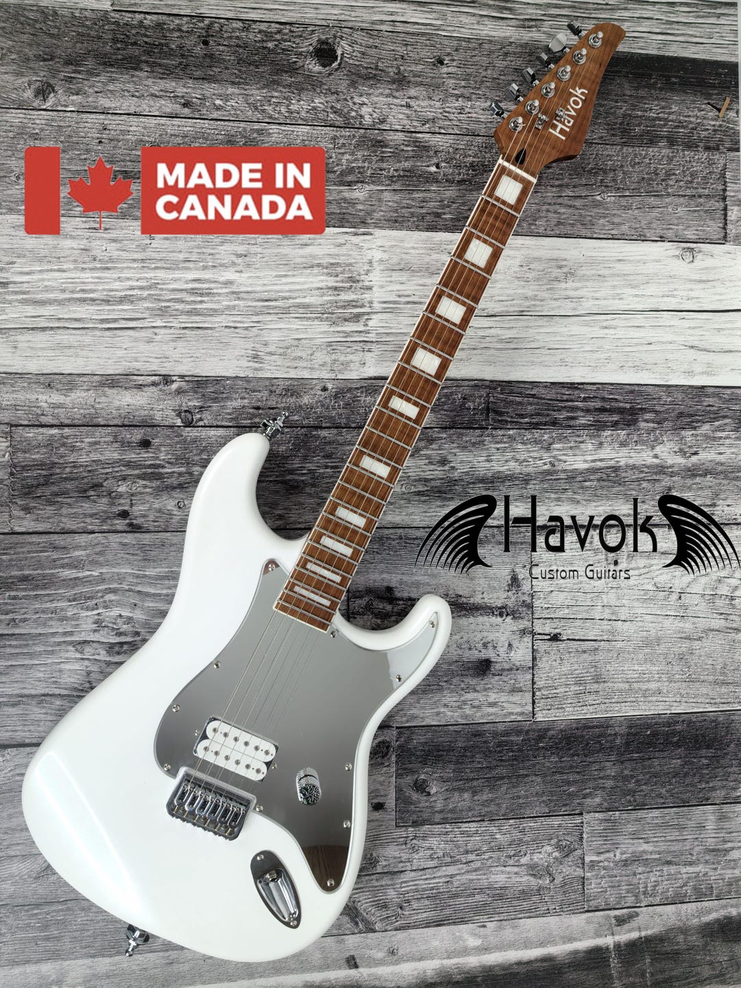 Havok Electric Guitar St Shape Hard Case Stainless Steel Frets High ...