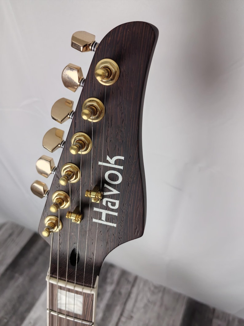 Havok Electric Guitar St Shape Hard Case Stainless Steel Frets High ...