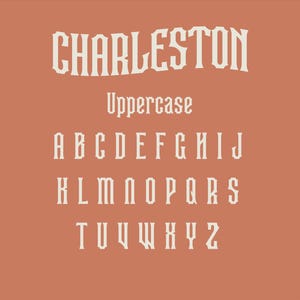 Charleston Vintage Display Typeface - Etsy