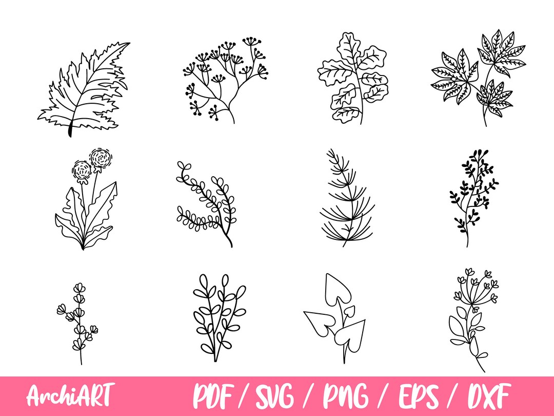 Wildflower SVG Bundle Wildflower Vector Wildflower Silhouette ...