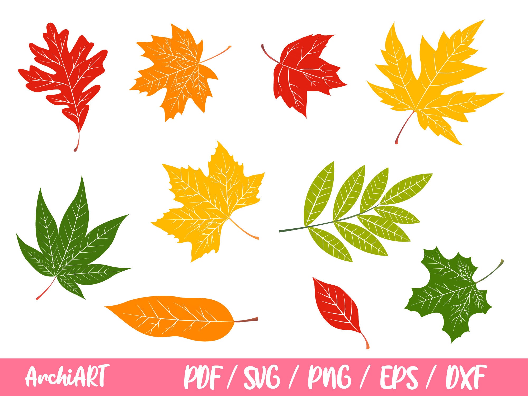 Fall Leaves Svg, Fall Svg, Fall Leaf Svg Bundle, Fall Png, Dxf, Clipart ...