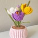 Crocus Crochet Pattern, Crocus Flower Pdf, Crochet Flower Pattern in ...