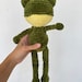 CROCHET PATTERN FROG With Duck Floatie Amigurumi Toy Plush - Etsy