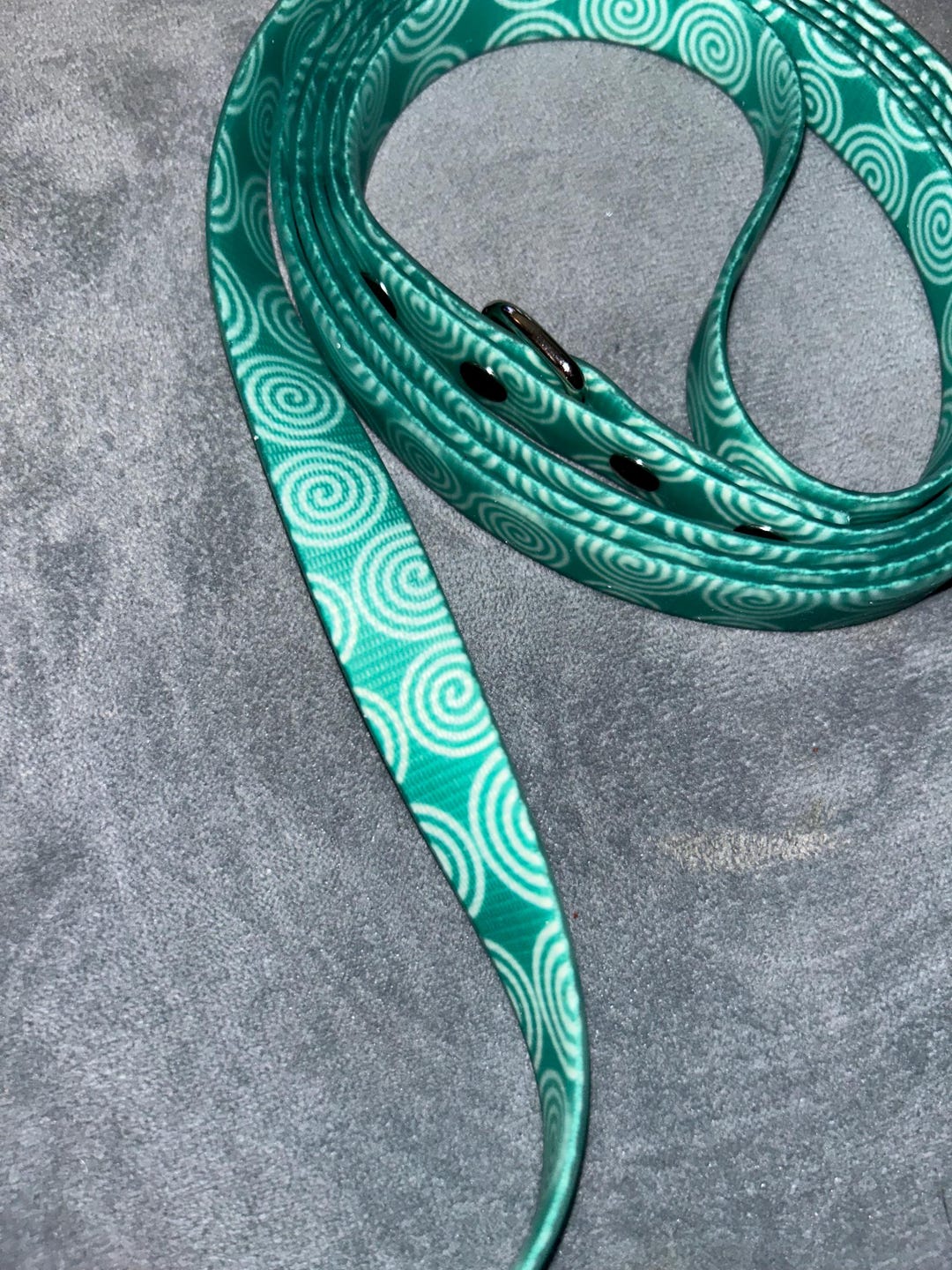 Waterproof Webbing Dog Lead With Snap - Etsy