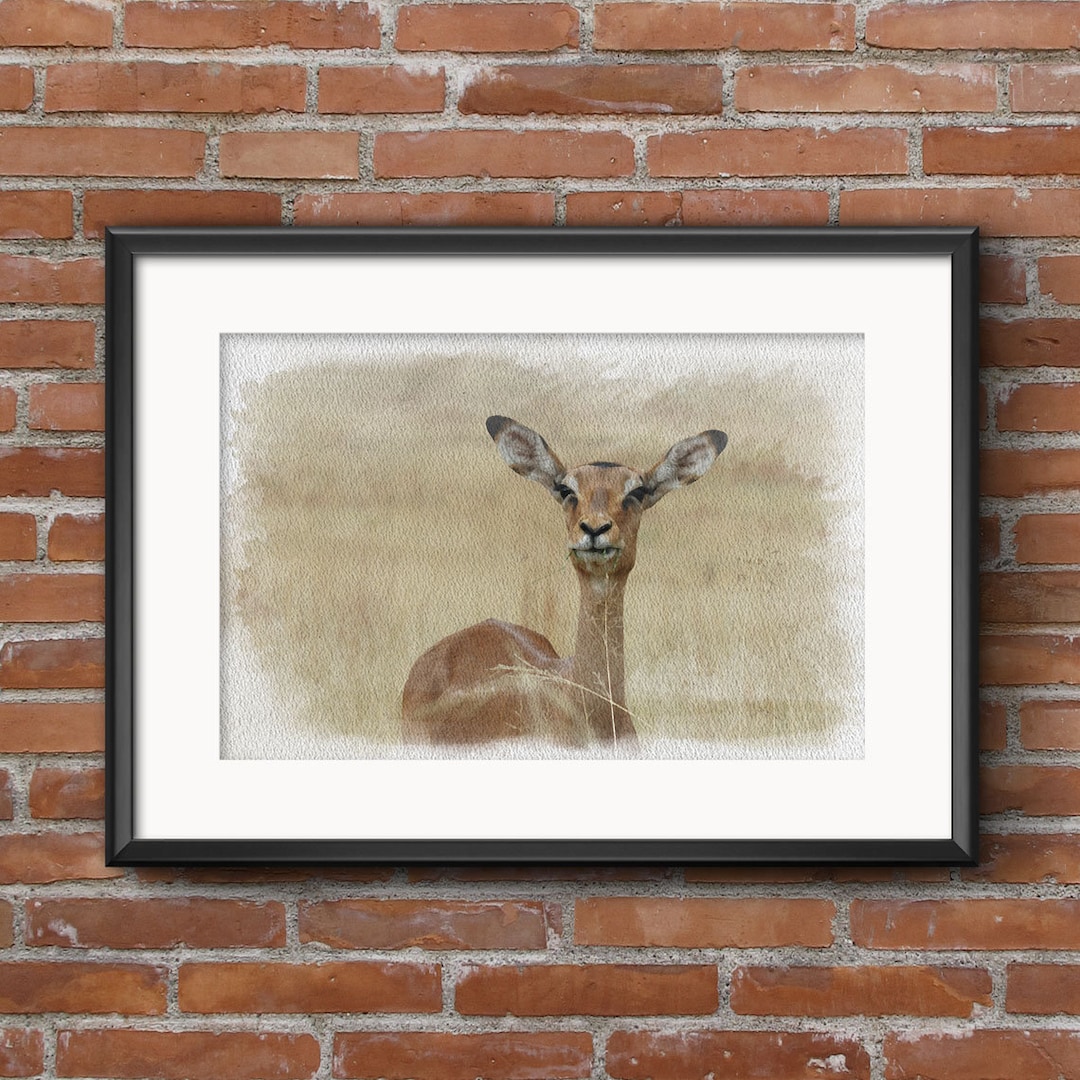 Impala Watercolor / Printable Wall Art / Digital Download / Printable ...