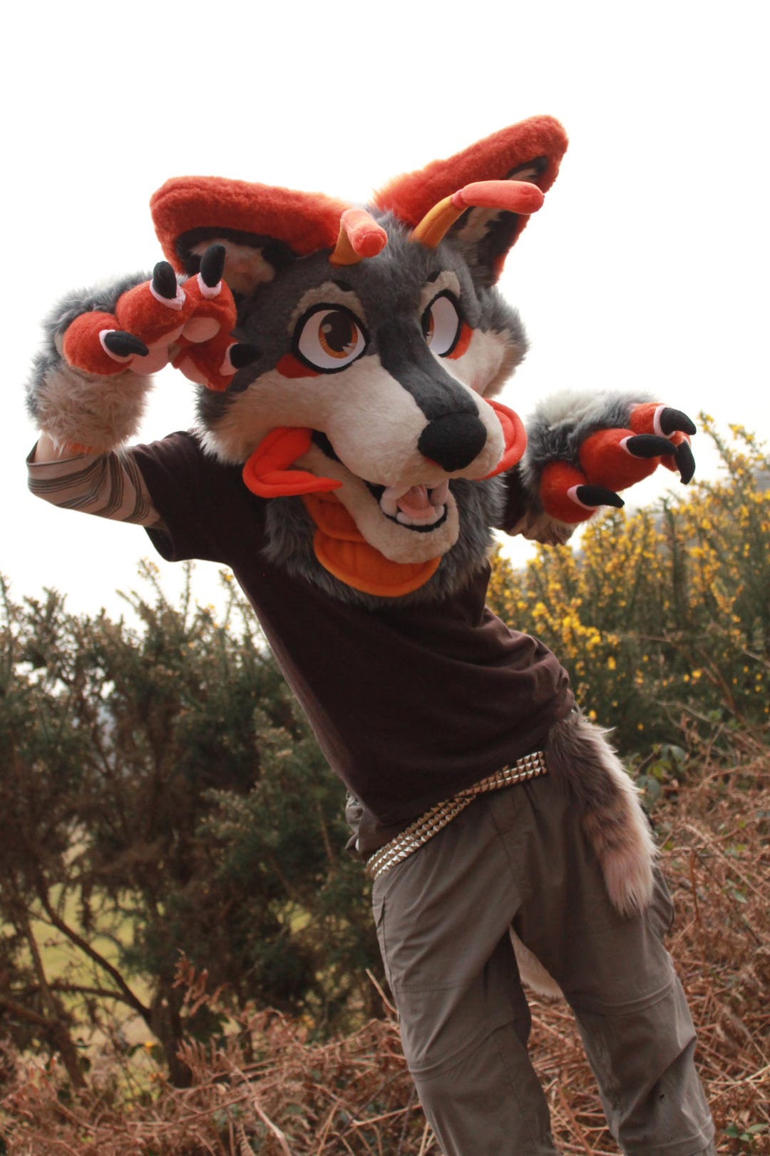 Fursuit Premade Mini Partial Canine Wolf Bug Costume High Quality - Etsy