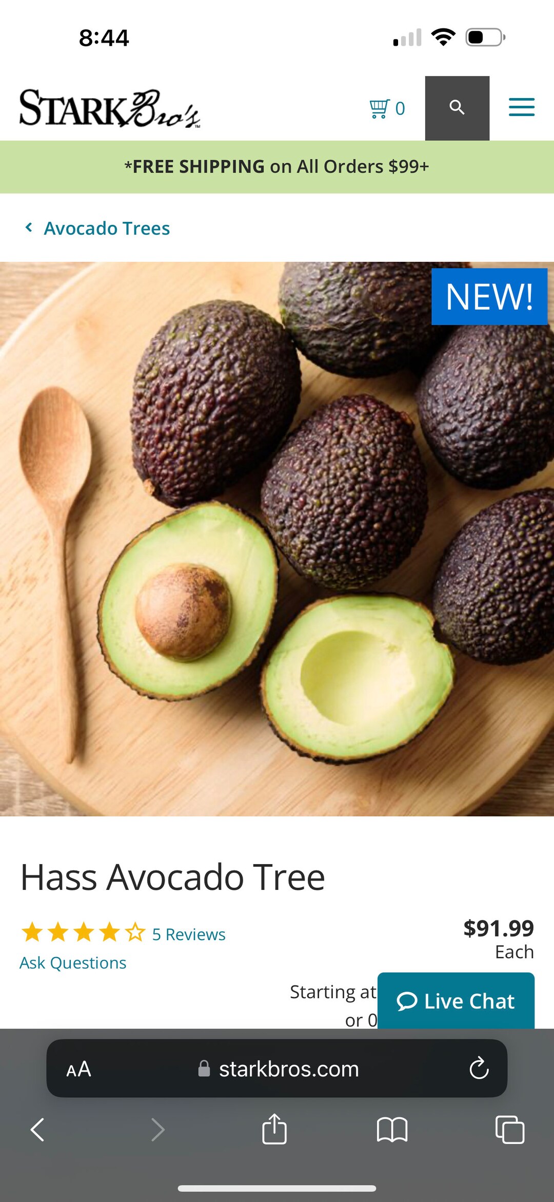 Hass Avocado Live Tree GRAFTED ESTABLISHED 3gallon Tree - Etsy