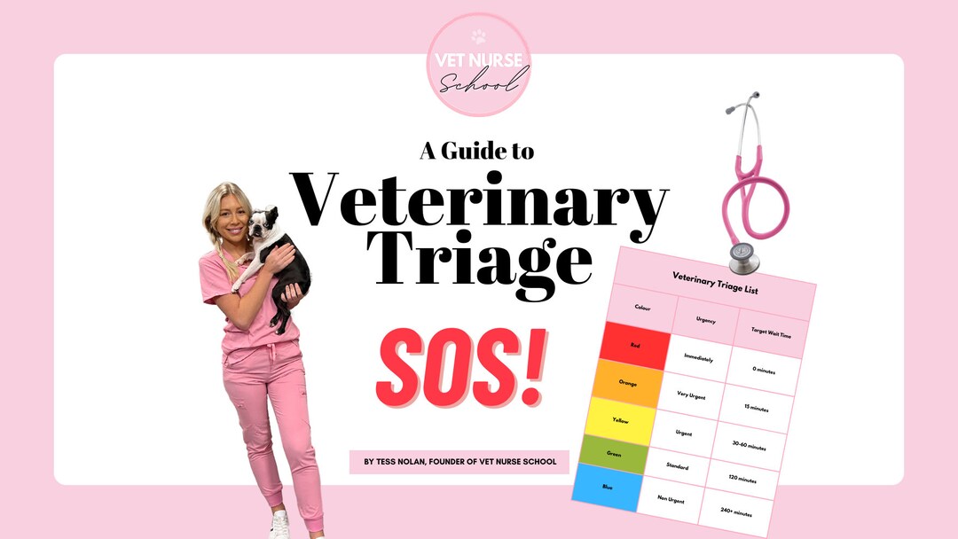 Veterinary Triage Guide - Etsy