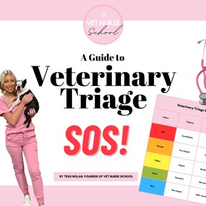 Veterinary Triage Guide - Etsy