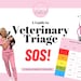 Veterinary Triage Guide - Etsy