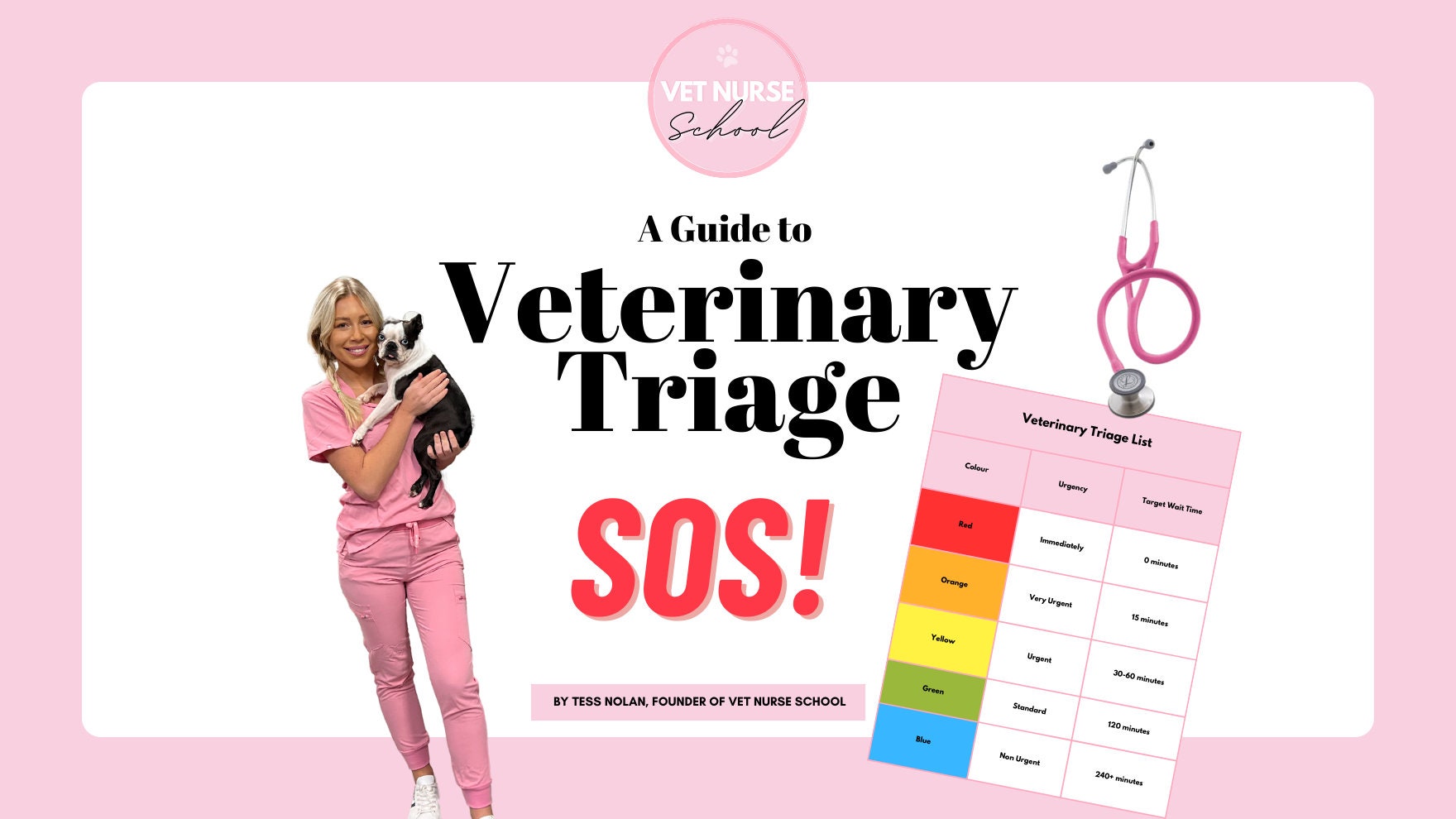 Veterinary Triage Guide - Etsy