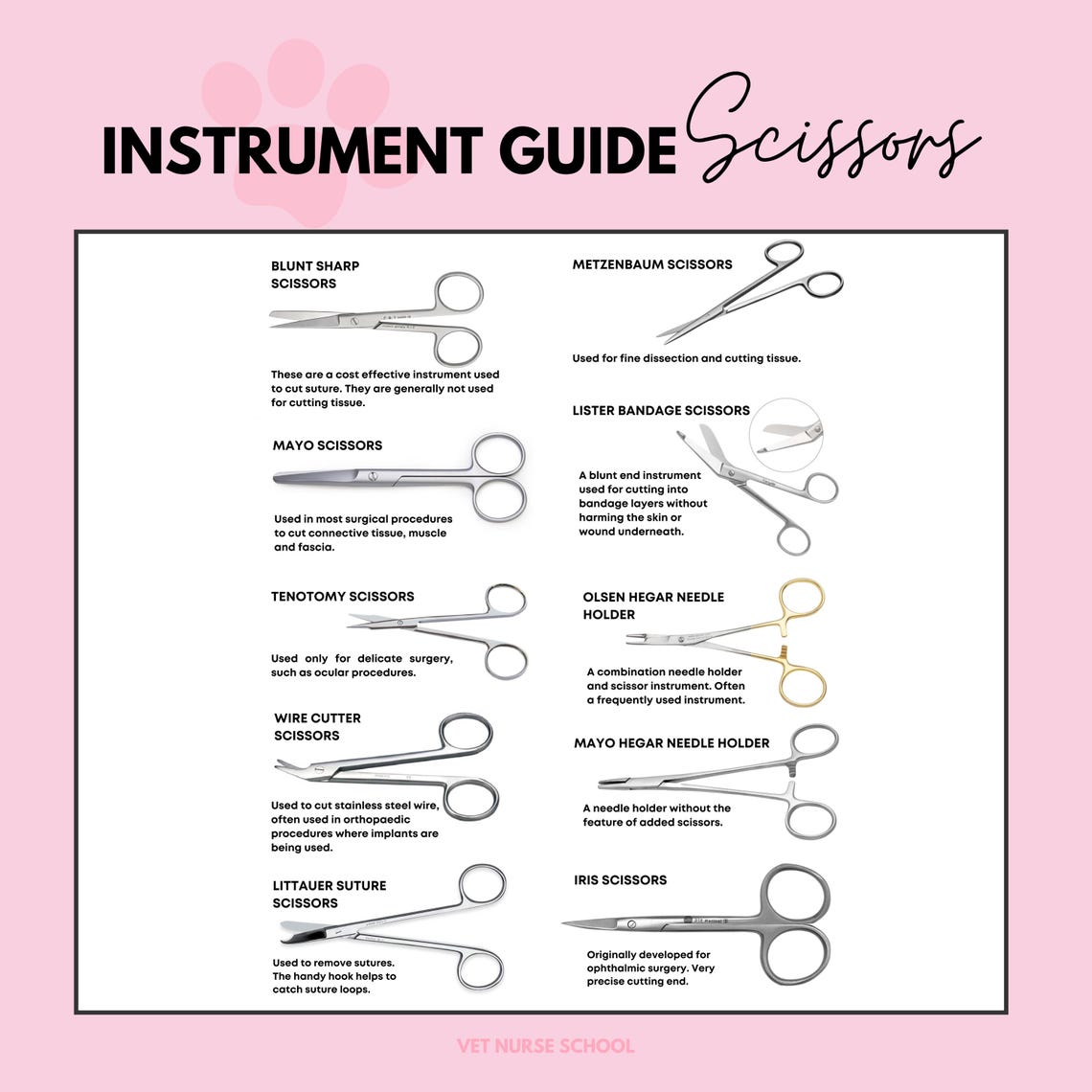 Veterinary Surgical Kit Contents Guide Nurse Nursing Instruments - Etsy