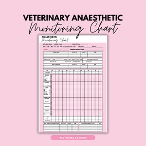Veterinary Anaesthetic Monitoring Chart Vet Nurse - Etsy